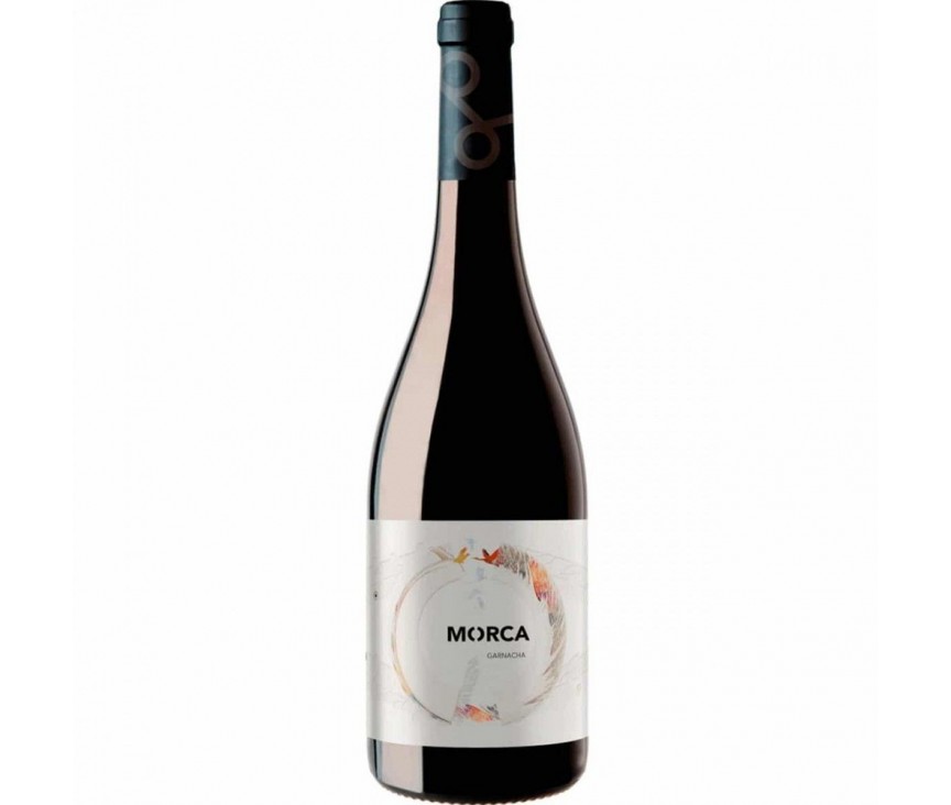 Buy Morca 2019 | Campoluz Enoteca