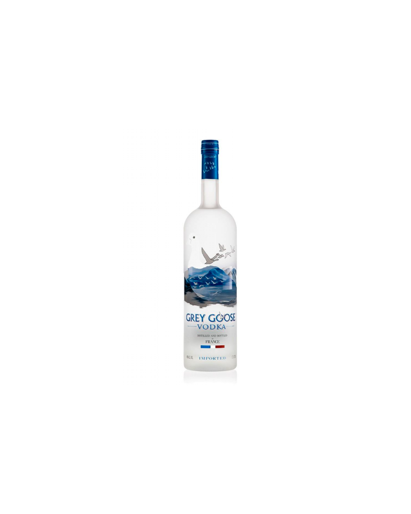 Buy Vodka Grey Goose 6L | Campoluz Enoteca