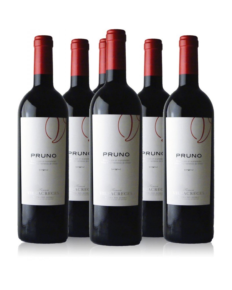 Buy Pack 6 Bottles Pruno 2021 | Campoluz Enoteca