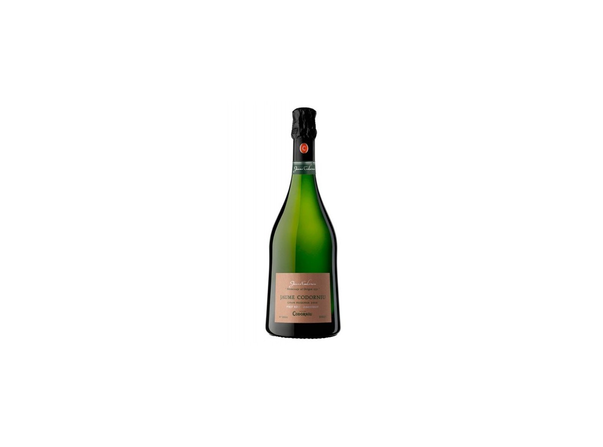 Acquista Jaume Codorniu Brut | Campoluz Enoteca